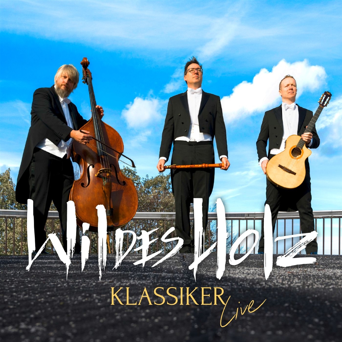Galileo Music Webshop Wildes Holz Klassiker Live